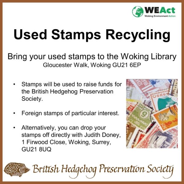 Welcome to Woking Environment Action